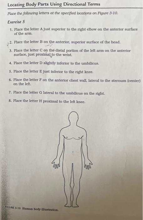 Solved Place the following letters at the specified | Chegg.com