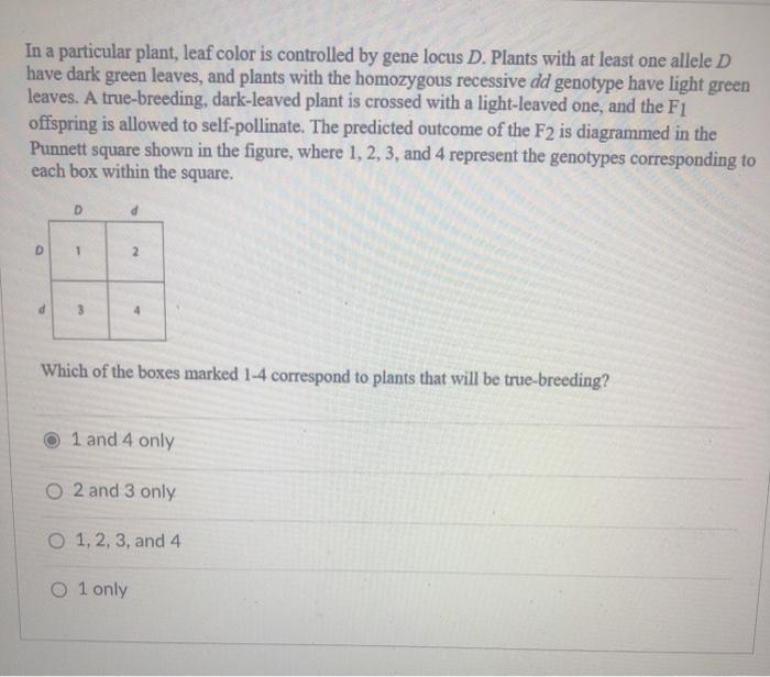 Solved In a particular plant, leaf color is controlled by | Chegg.com