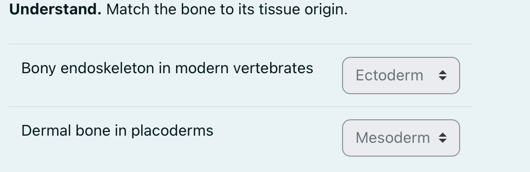 Solved Understand. Match the bone to its tissue origin.Bony | Chegg.com