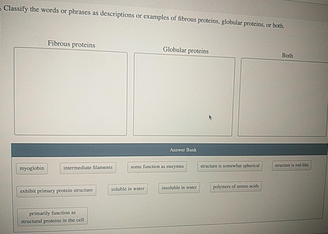Solved Classify the words or phrases as descriptions or | Chegg.com