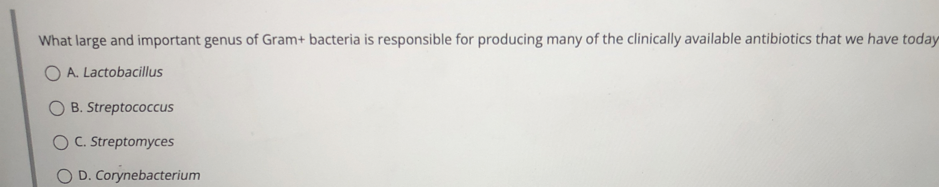 Solved What large and important genus of Gram+ ﻿bacteria is | Chegg.com