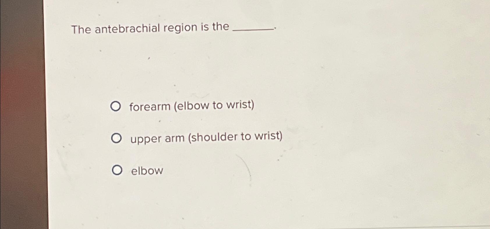 Solved The antebrachial region is theforearm (elbow to | Chegg.com