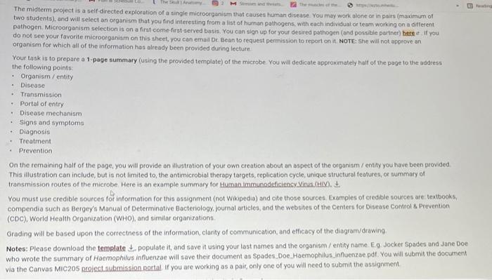 Solved - The midterm project is a self-directed exploration | Chegg.com