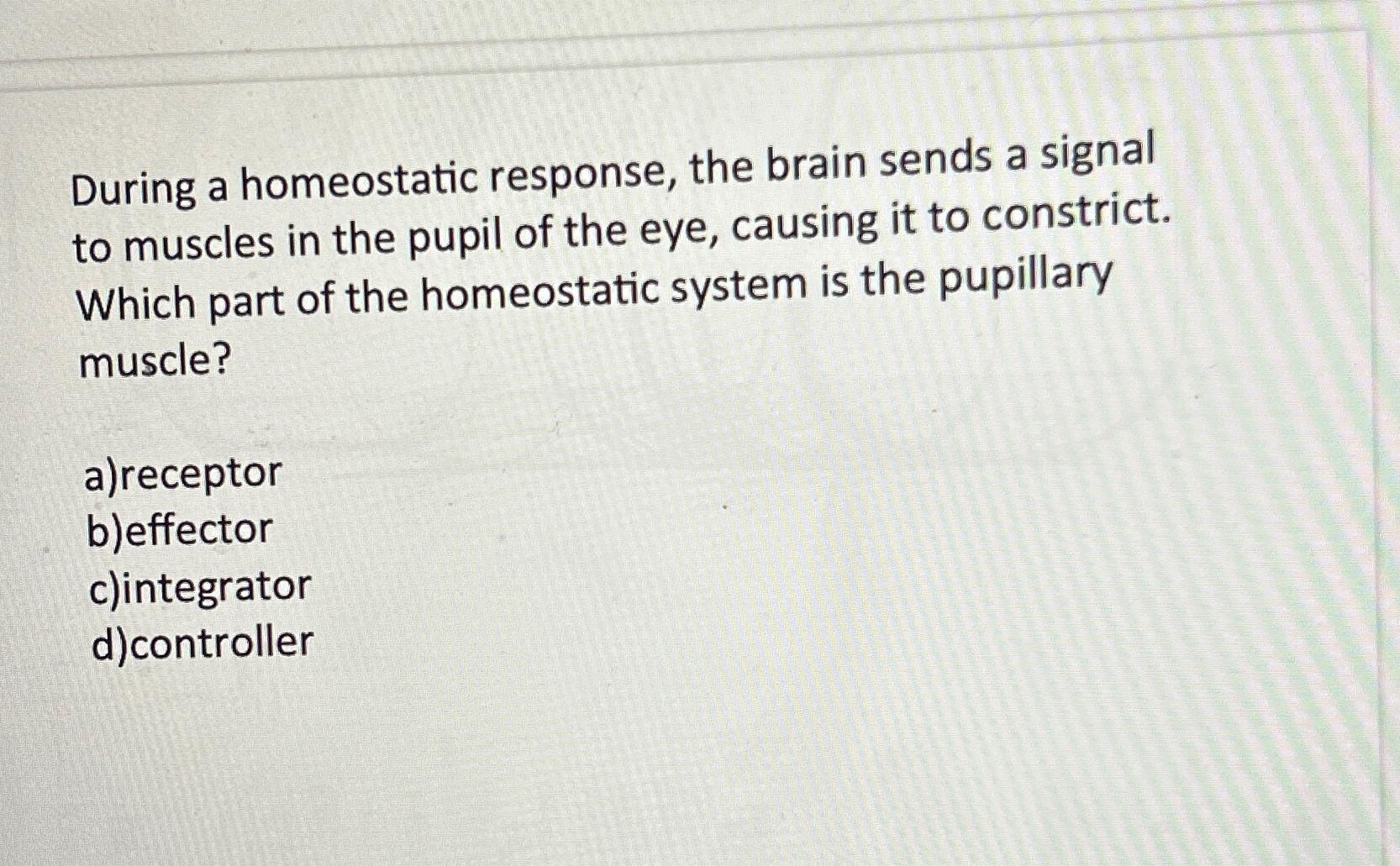 Solved During a homeostatic response, the brain sends a | Chegg.com