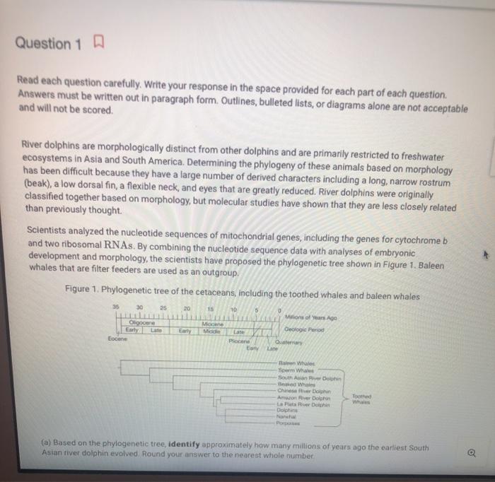 Question 1 A Read each question carefully. Write your | Chegg.com