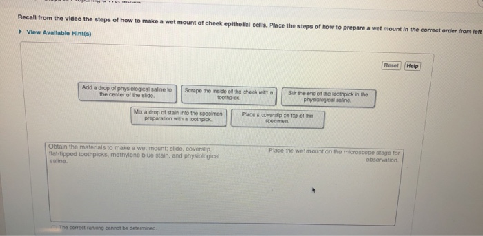 Solved Recall from the video the steps of how to make a wet | Chegg.com