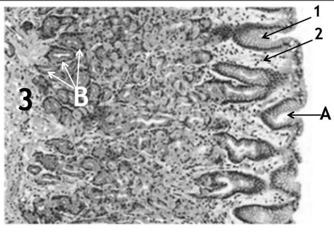 Solved label each label the parts | Chegg.com
