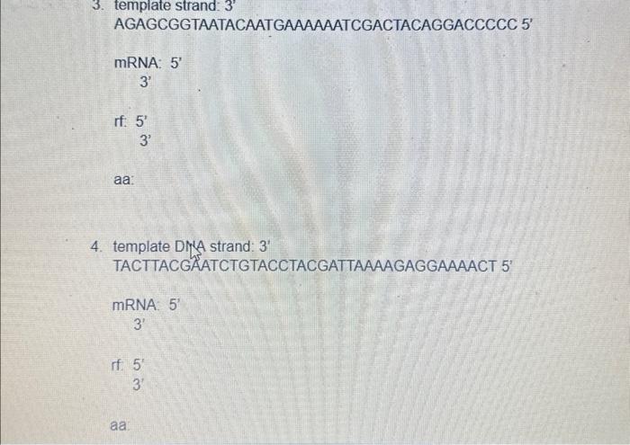 Solved 1. template strand: 3 | Chegg.com