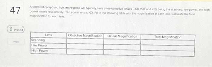 Compound Light Microscope Magnification Calculation | Shelly Lighting