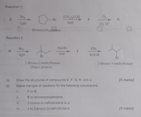 Solved Reaction 1;Reaction 2;(Major product)(a) ﻿Draw the | Chegg.com