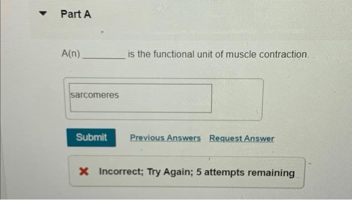 Solved Part A A(n) is the functional unit of muscle | Chegg.com