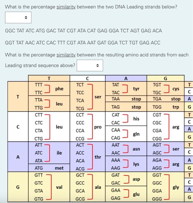 Solved What Is The Percentage Similarity Between The Two DNA Chegg