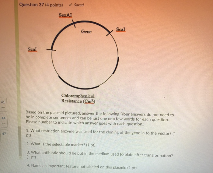 Solved Question 37 (4 points) Saved SexAI Gene Scal Scal | Chegg.com