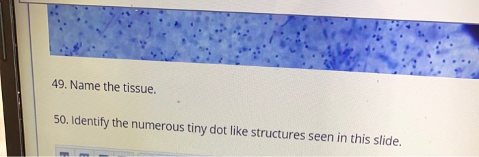 Solved 50 Click Save and Submit to save and cul 49. Name | Chegg.com