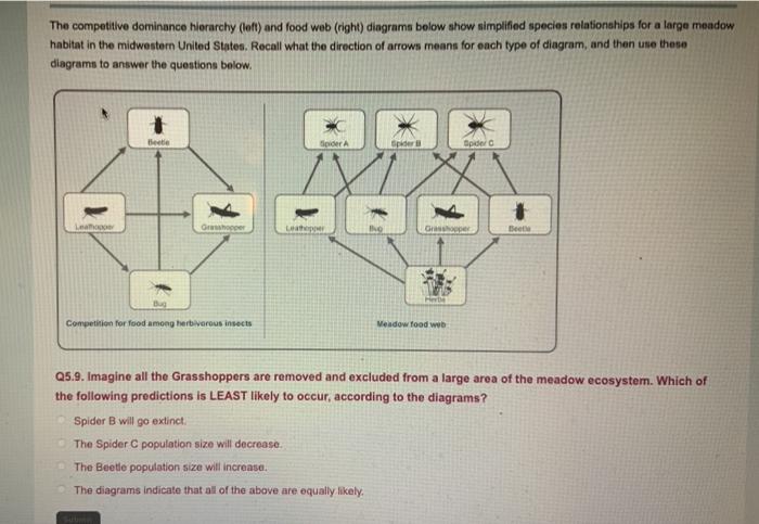 Solved The competitive dominance hierarchy (left) and food | Chegg.com