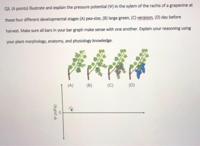 Solved Q3. (4 points) Illustrate and explain the pressure | Chegg.com