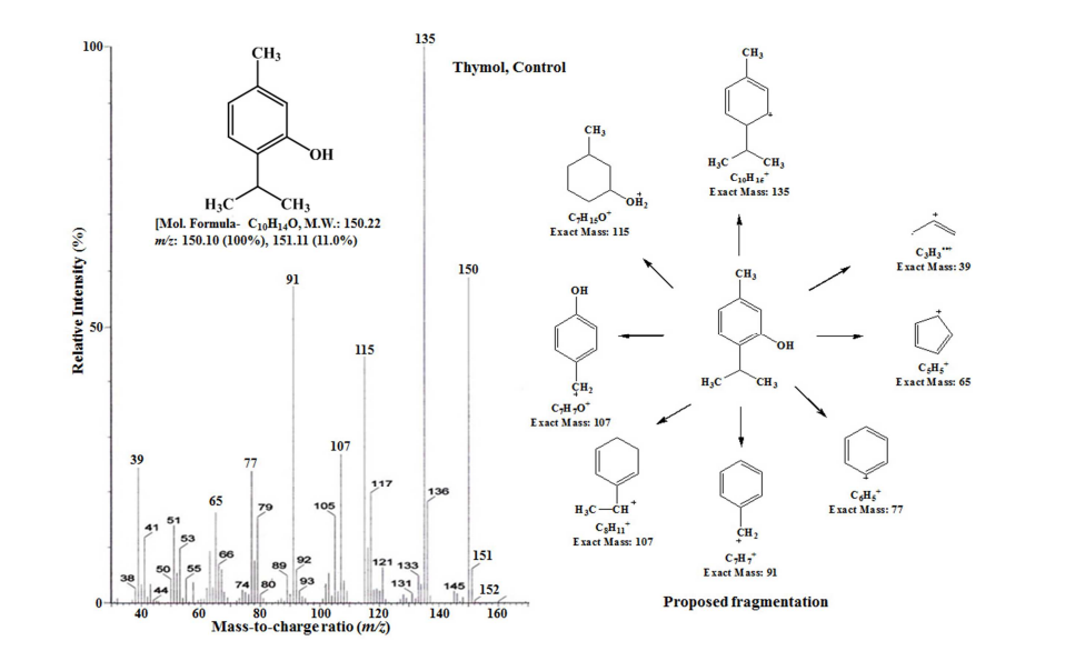 Solved Explain why the fragmented ion peak at m/z 135 ﻿was | Chegg.com