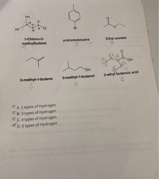 Solved 8 How many chemically distinct types of hydrogen on | Chegg.com
