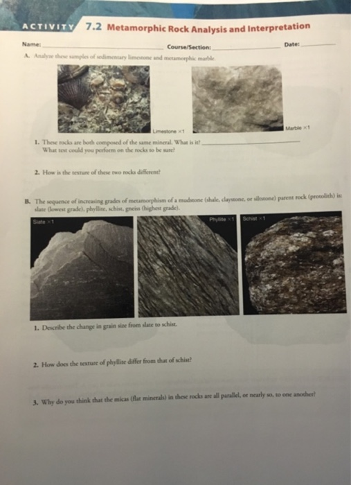 Solved ACTIVITY 7.2 Metamorphic Rock Analysis and | Chegg.com
