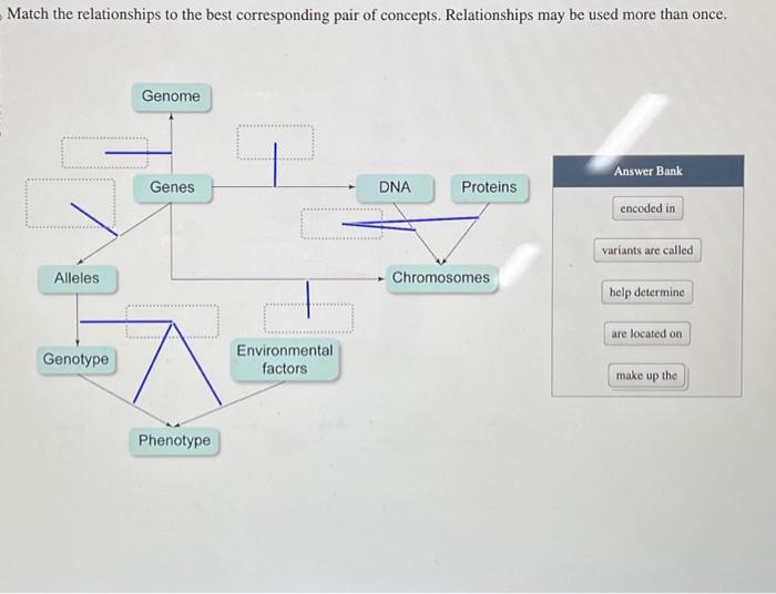 Solved Match the relationships to the best corresponding | Chegg.com