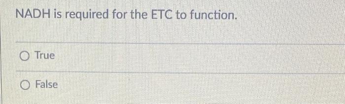 Solved PCR procedures use heat stable DNA polymerase to | Chegg.com