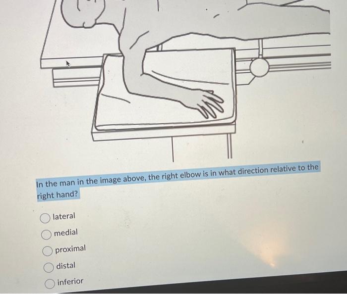 Solved In the man in the image above, the right elbow is in | Chegg.com