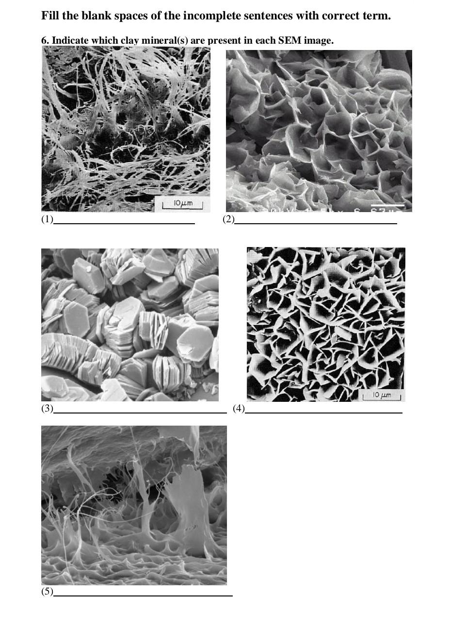 Solved Fill the blank spaces of the incomplete sentences | Chegg.com