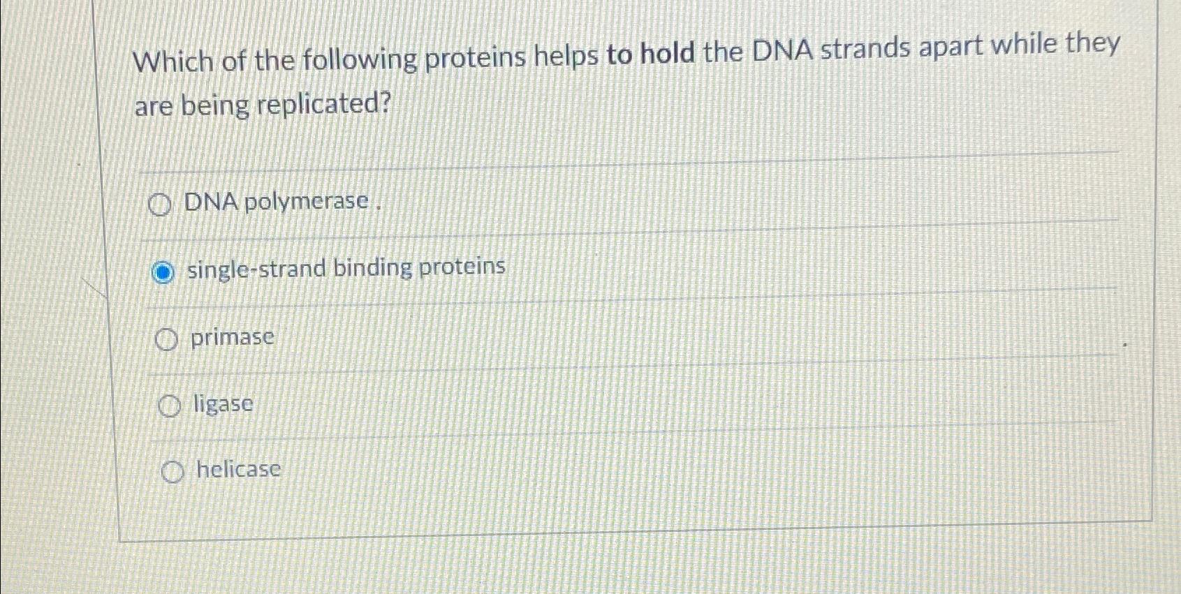 Solved Which of the following proteins helps to hold the DNA | Chegg.com