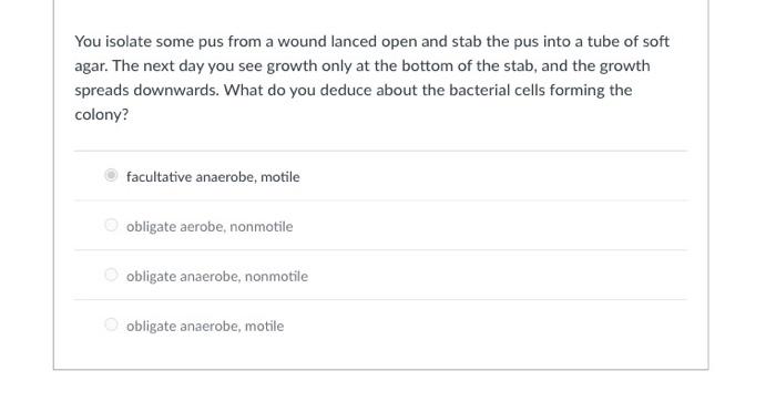 Solved You isolate some pus from a wound lanced open and | Chegg.com