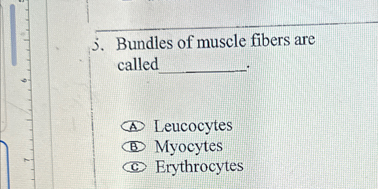 Solved j. ﻿Bundles of muscle fibers are called(A) | Chegg.com