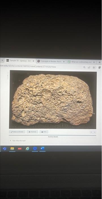 Solved What is the name of igneous rock sample 10? a) | Chegg.com