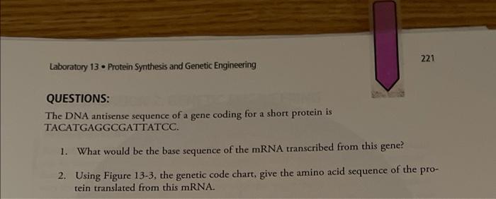 Solved 221 Laboratory 13 • Protein Synthesis and Genetic | Chegg.com
