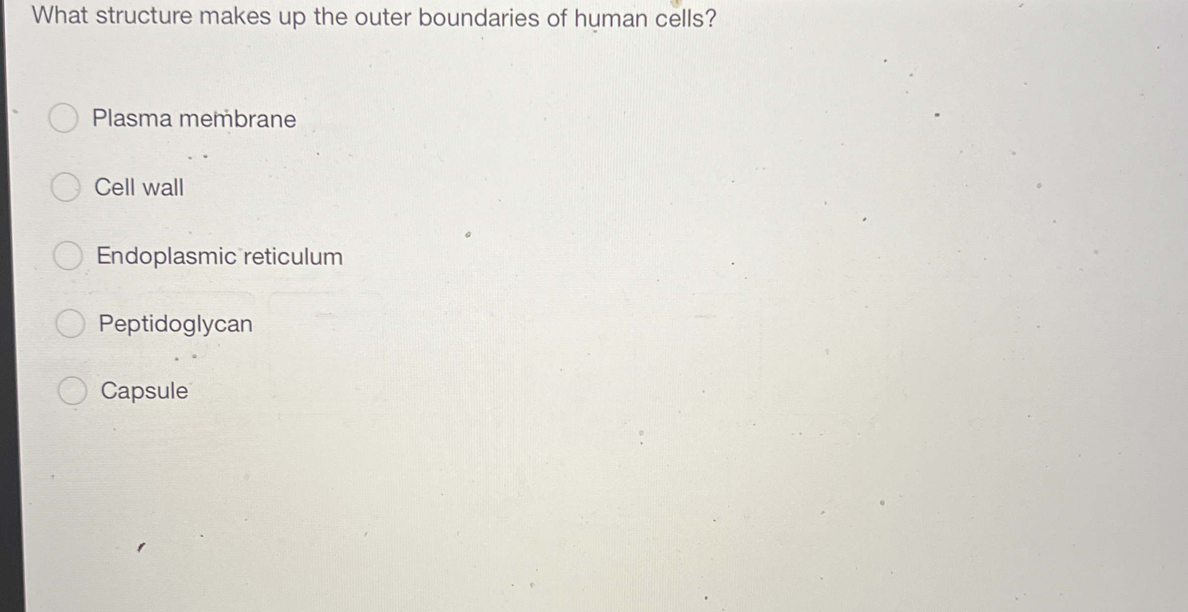 Solved What structure makes up the outer boundaries of human | Chegg.com