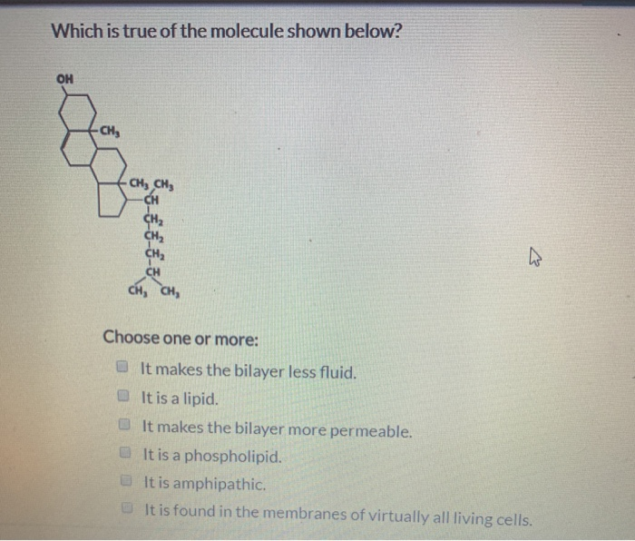 Solved Which is true of the molecule shown below? CH, CH, | Chegg.com