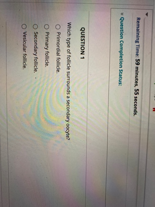Solved Remaining Time: 59 minutes, 55 seconds. * Question | Chegg.com Solved Remaining Time: 59 minutes, 55 seconds. * Question | Chegg.com