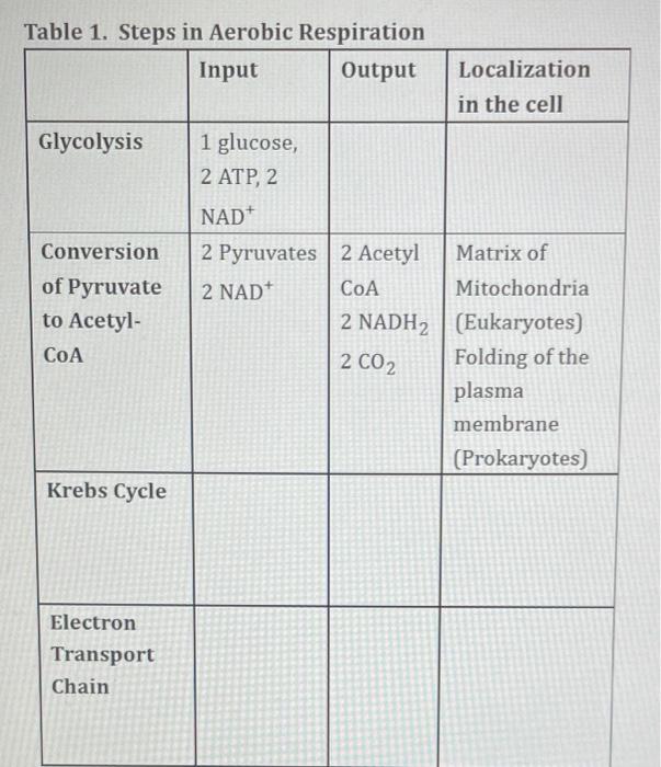 Solved Table 1. Steps in Aerobic RespirationTable 1. Steps | Chegg.com