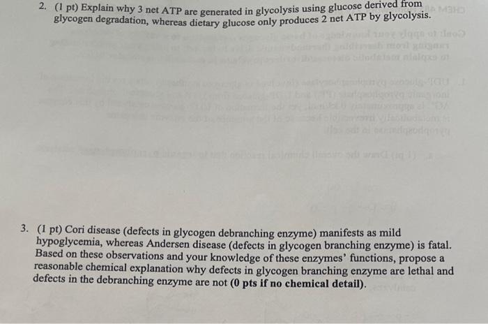 Solved 2. (1 pt) Explain why 3 net ATP are generated in | Chegg.com
