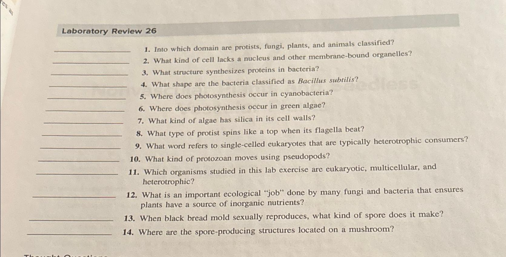 Solved Laboratory Review 26Into which domain are protists, | Chegg.com