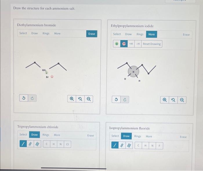 Solved Draw the structure for each ammonium salt. | Chegg.com