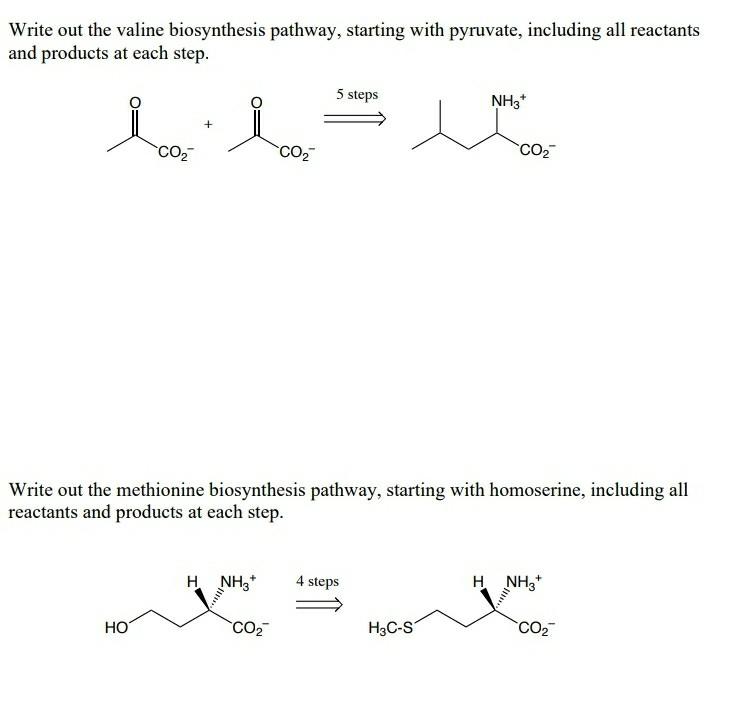 Solved Write out the valine biosynthesis pathway, starting | Chegg.com