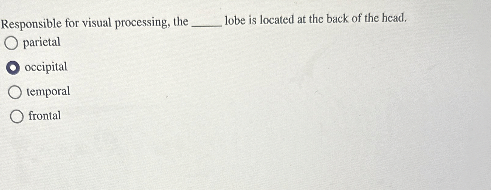 Solved Responsible for visual processing, thelobe is located | Chegg.com