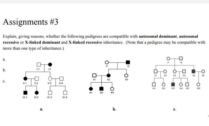 Solved Assignments \#1 Distinguish between the following | Chegg.com