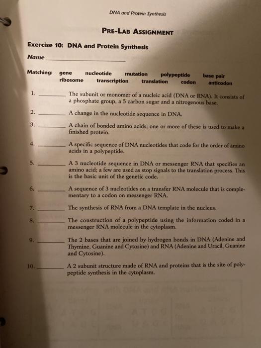 Solved DNA and Protein Synthesis PRE-LAB ASSIGNMENT Exercise | Chegg.com