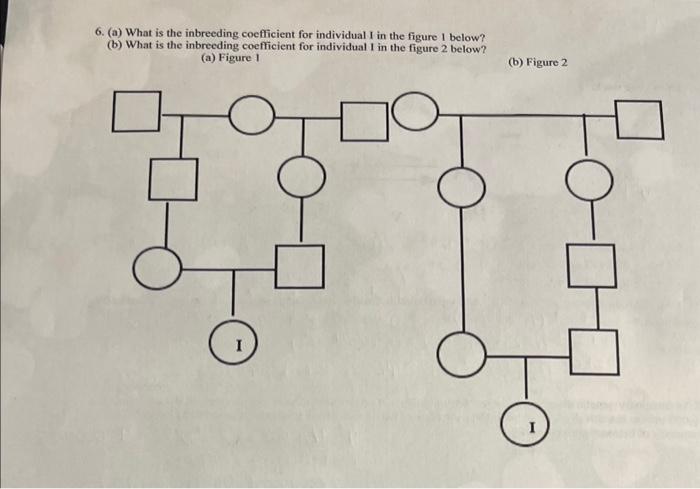 Solved 6. (a) What is the inbreeding coefficient for | Chegg.com