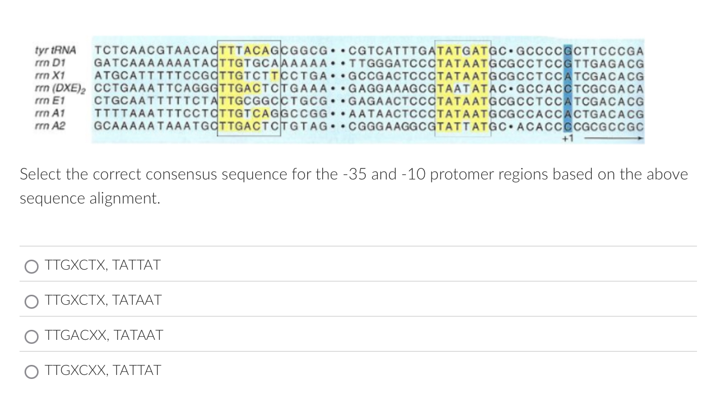 Solved \table[[tyr tRNA,],[D1,GATCAAAAAAATACTTGTGCAAAAAA - | Chegg.com