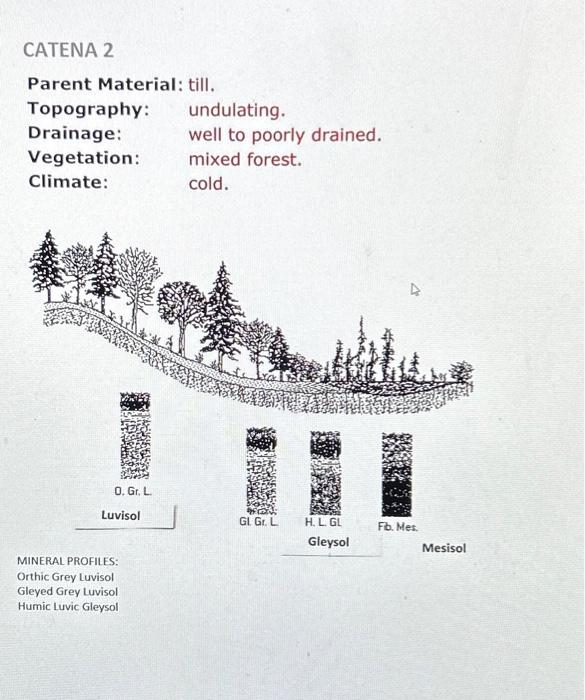 Solved 2. Consider the environmental soil forming factors | Chegg.com