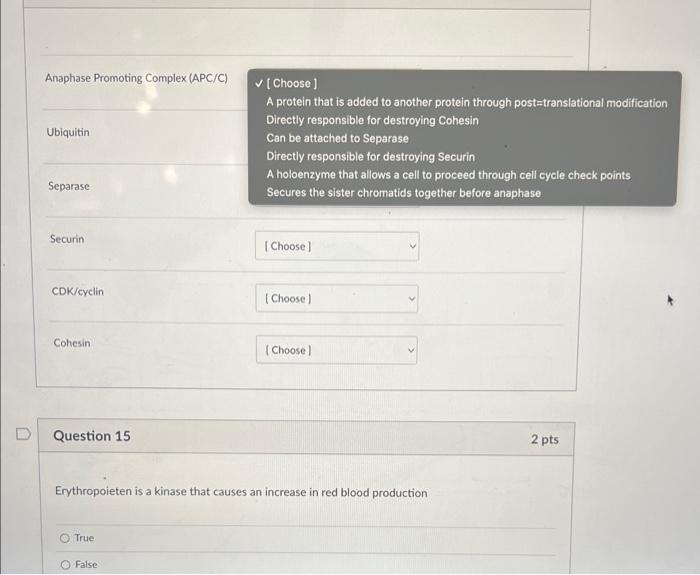 Solved Anaphase Promoting Complex (APC/C) Ubiquitin Separase | Chegg.com