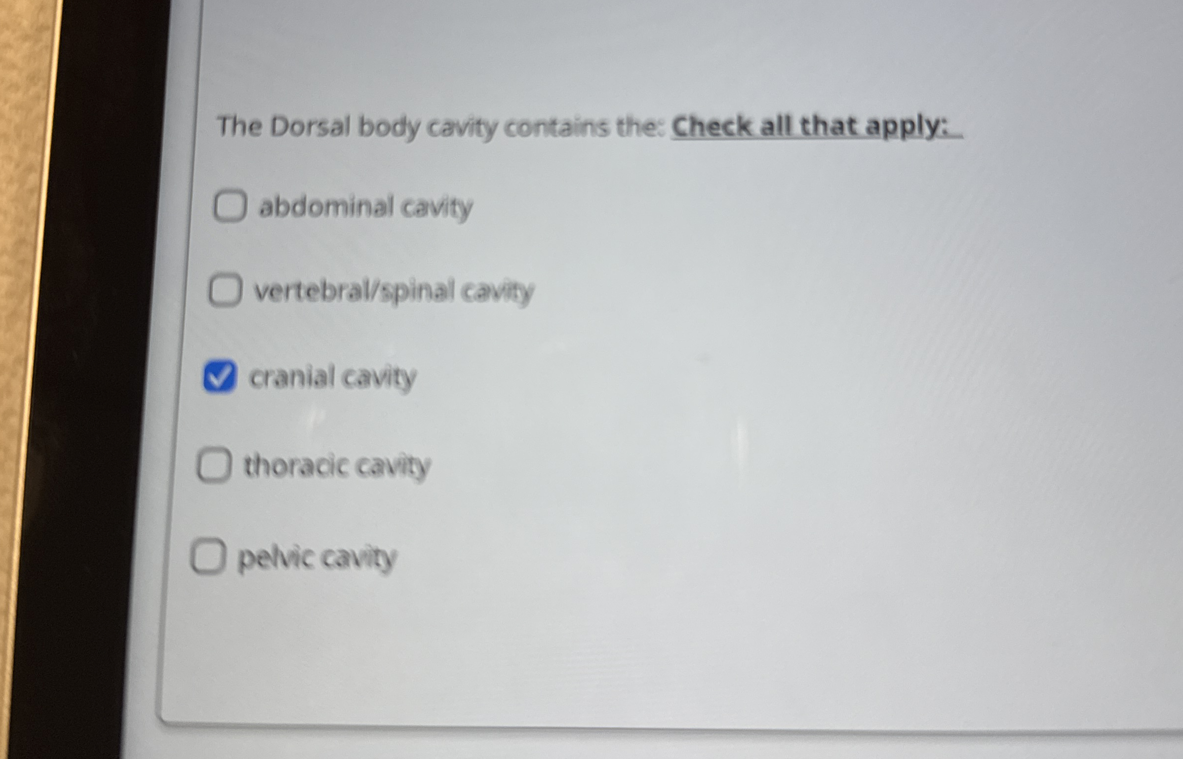 The Dorsal body cavity contains the: Check all that | Chegg.com