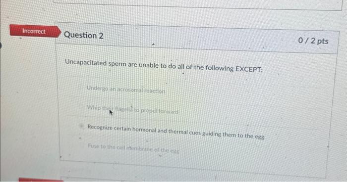 Solved What is a FALSE statement about the fusion of egg and | Chegg.com