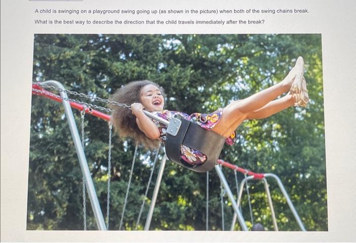Solved A child is swinging on a playground swing going up | Chegg.com